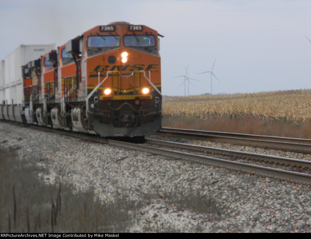 BNSF 7365